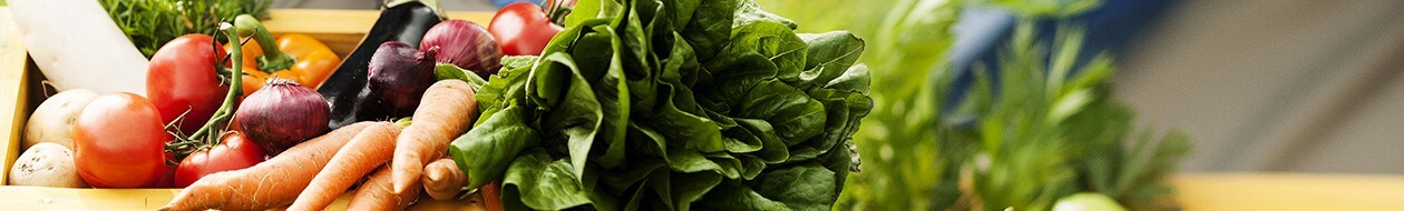 Explore plant-based alternatives and their benefits